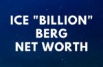 Ice "Billion" Berg - Net Worth, Biography, Age, Quotes - Famous People ...