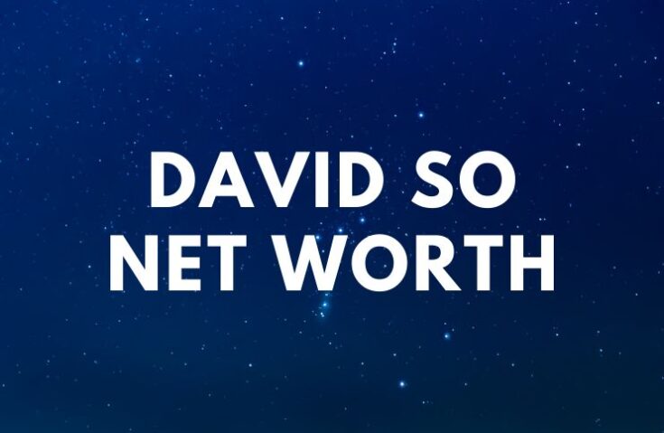 David So - Net Worth, Fiancée (Mariel Song), Gook, Biography - Famous ...