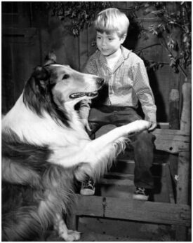 Jon Provost Net Worth - Famous People Today