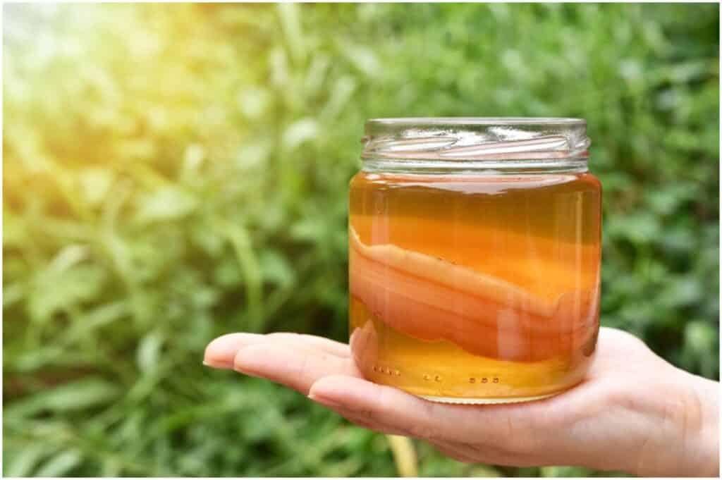 GT Dave Net Worth & Husband - Famous People Today