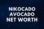 Nikocado Avocado - Net Worth, Husband (Orlin Home), Biography - Famous ...
