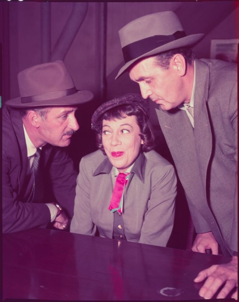 Howard Morris Net Worth At Death - Famous People Today