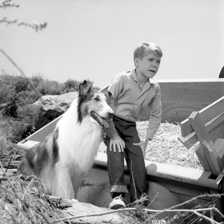 Jon Provost Net Worth - Latest Update - Famous People Today