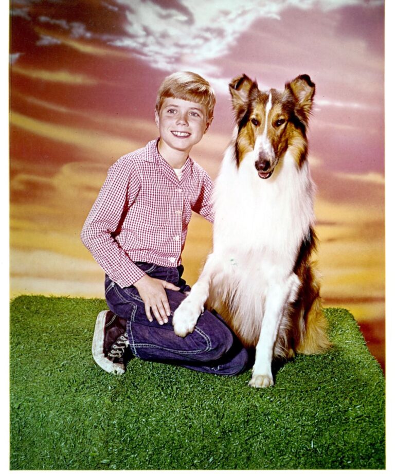 Jon Provost Net Worth - Latest Update - Famous People Today