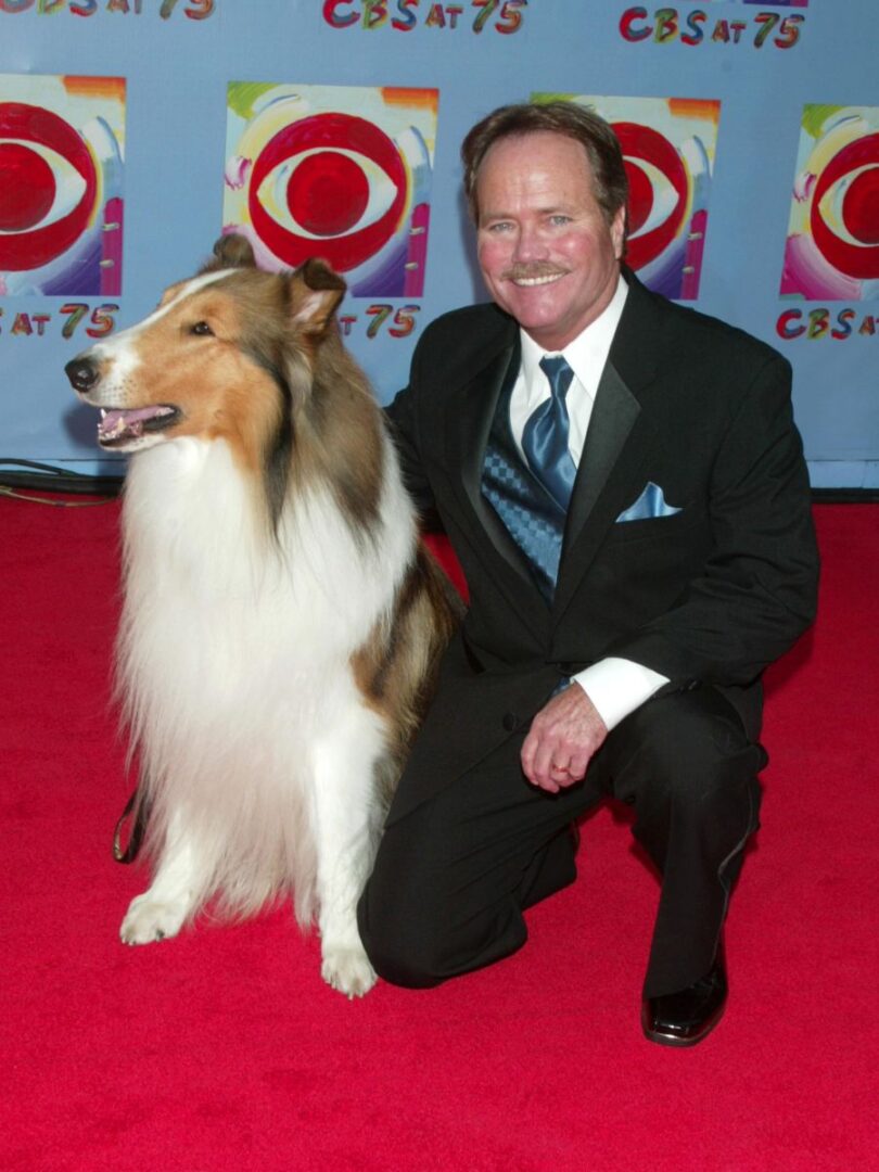 Jon Provost Net Worth - Latest Update - Famous People Today