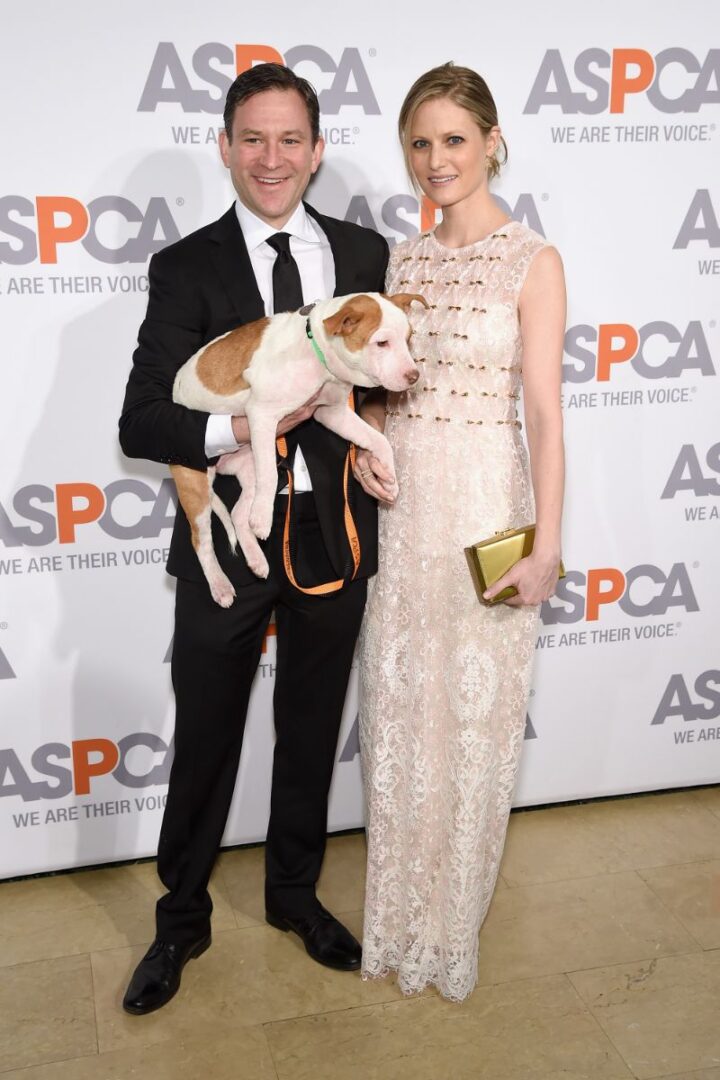 Dan Harris Net Worth - Latest Update - Famous People Today