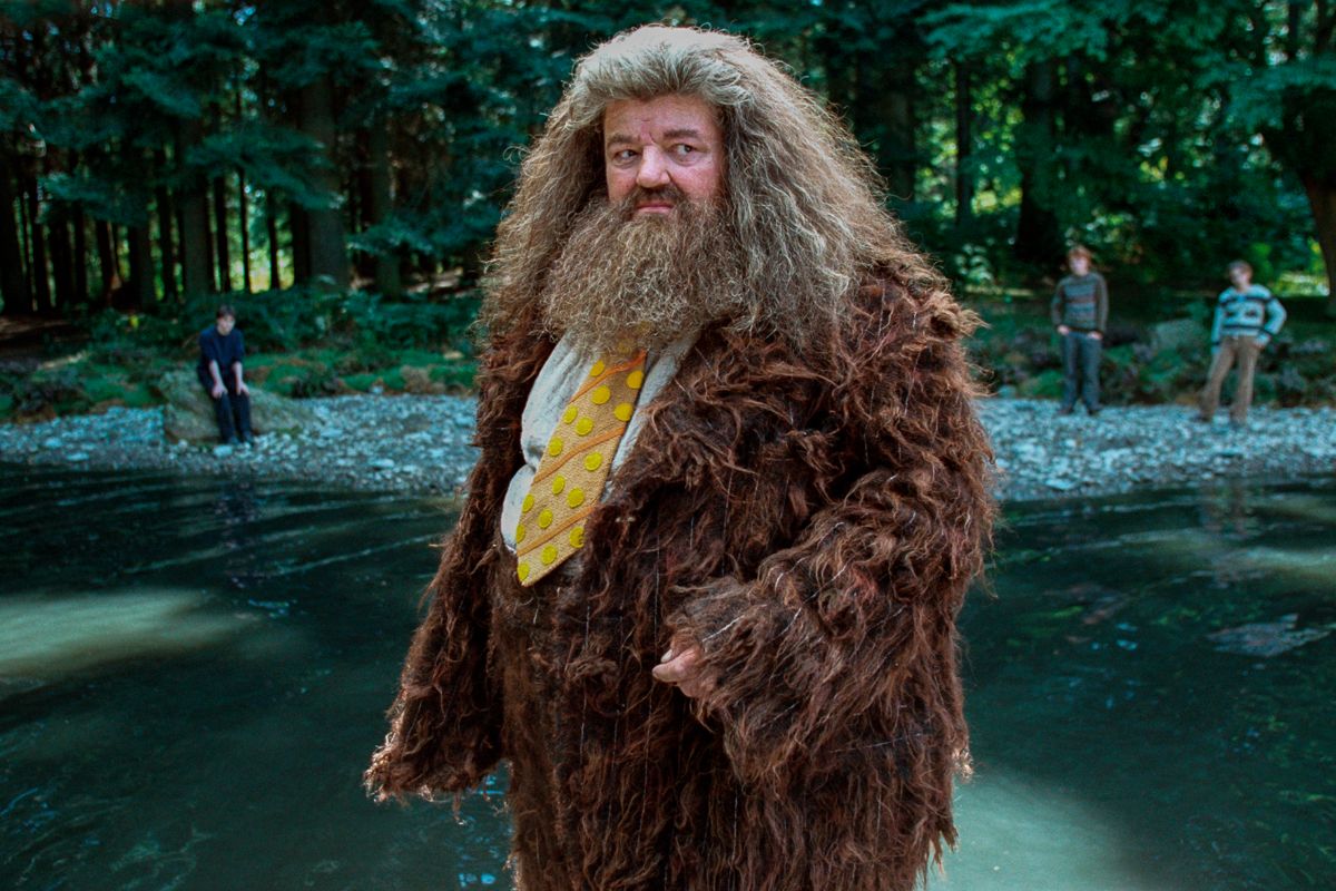Robbie Coltrane Net Worth & Height | Rubeus Hagrid (Harry Potter ...